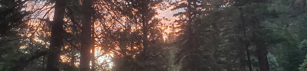 Camping: Columbine Campground, Carson National Forest – Wandering New ...